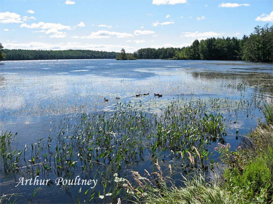 Photo Gallery - Thompson Lake Environmental Association