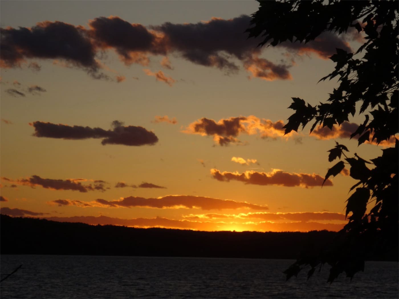 Photo Gallery - Thompson Lake Environmental Association