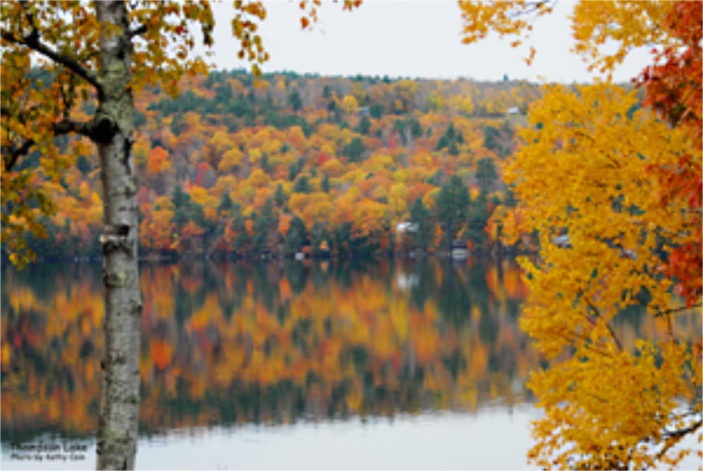 Photo Gallery - Thompson Lake Environmental Association