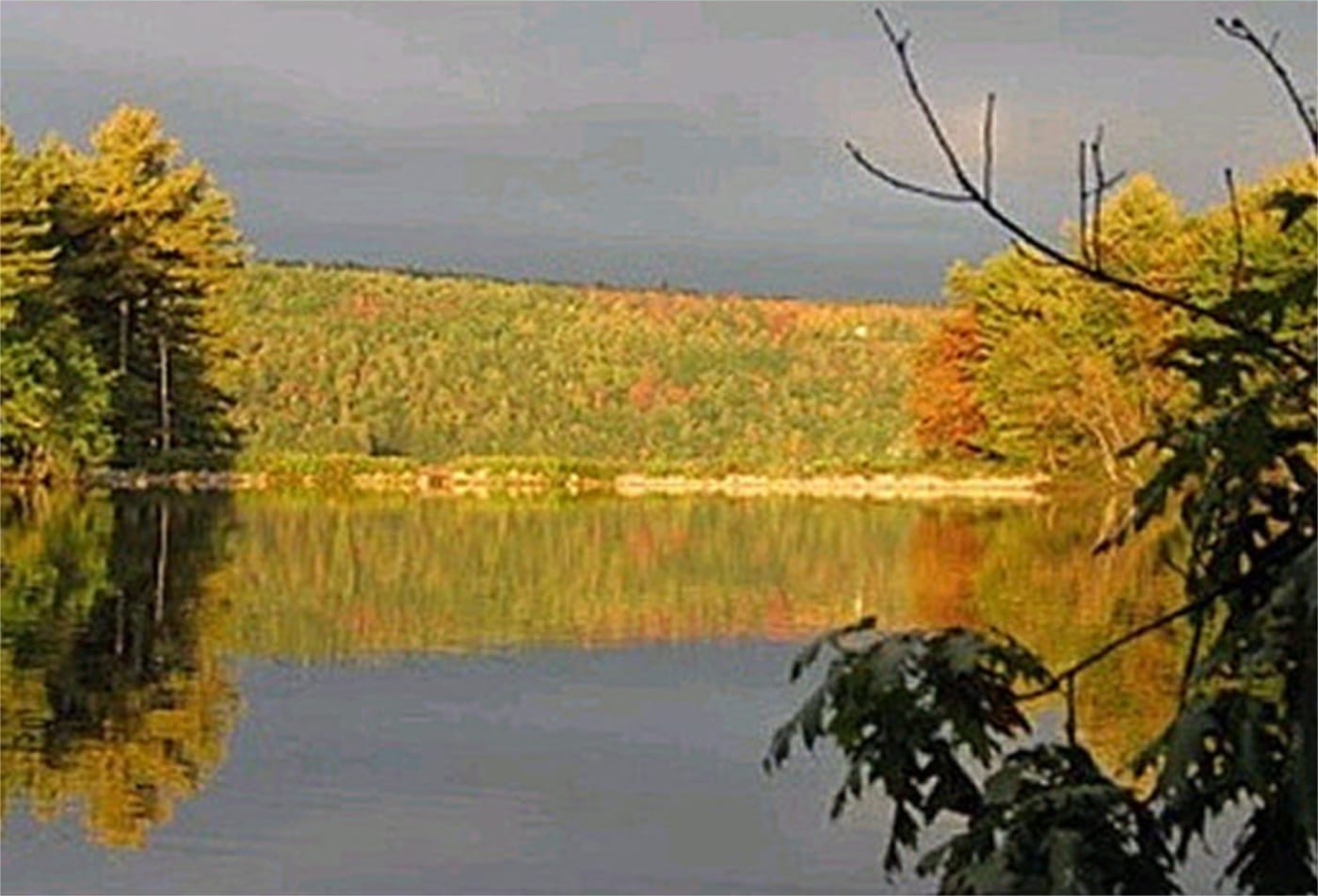 Photo Gallery - Thompson Lake Environmental Association